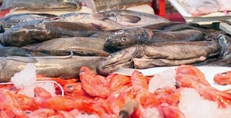 La importancia de consumir productos pesqueros congelados