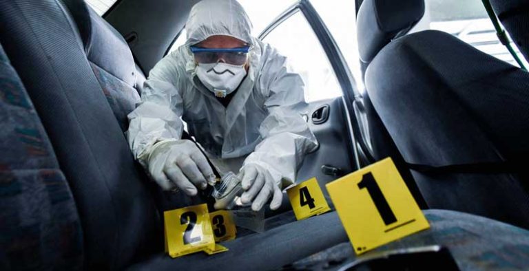 La importancia de contar con criminalistas para mitigar los delitos